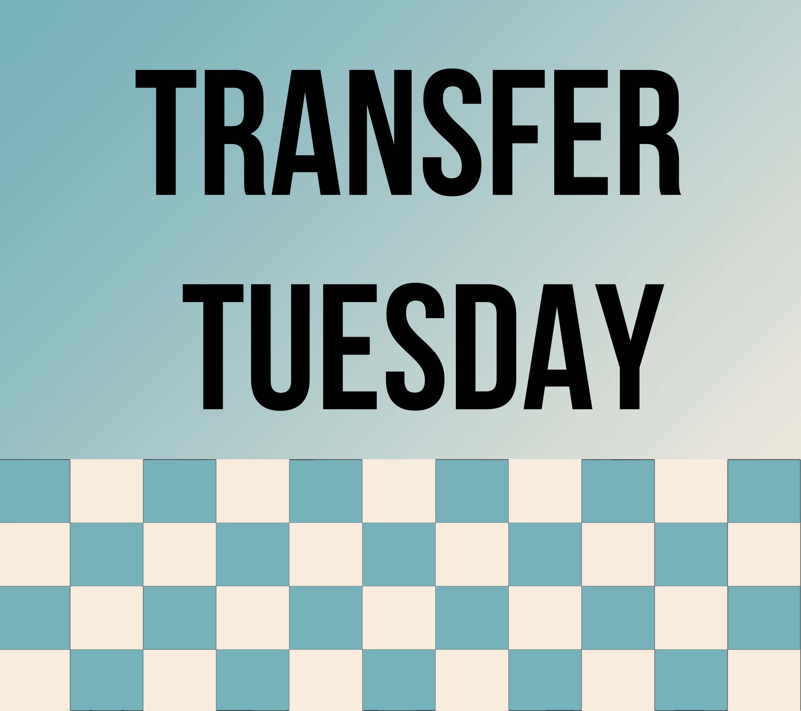 Transfer Tuesday – ANECUSTOMS